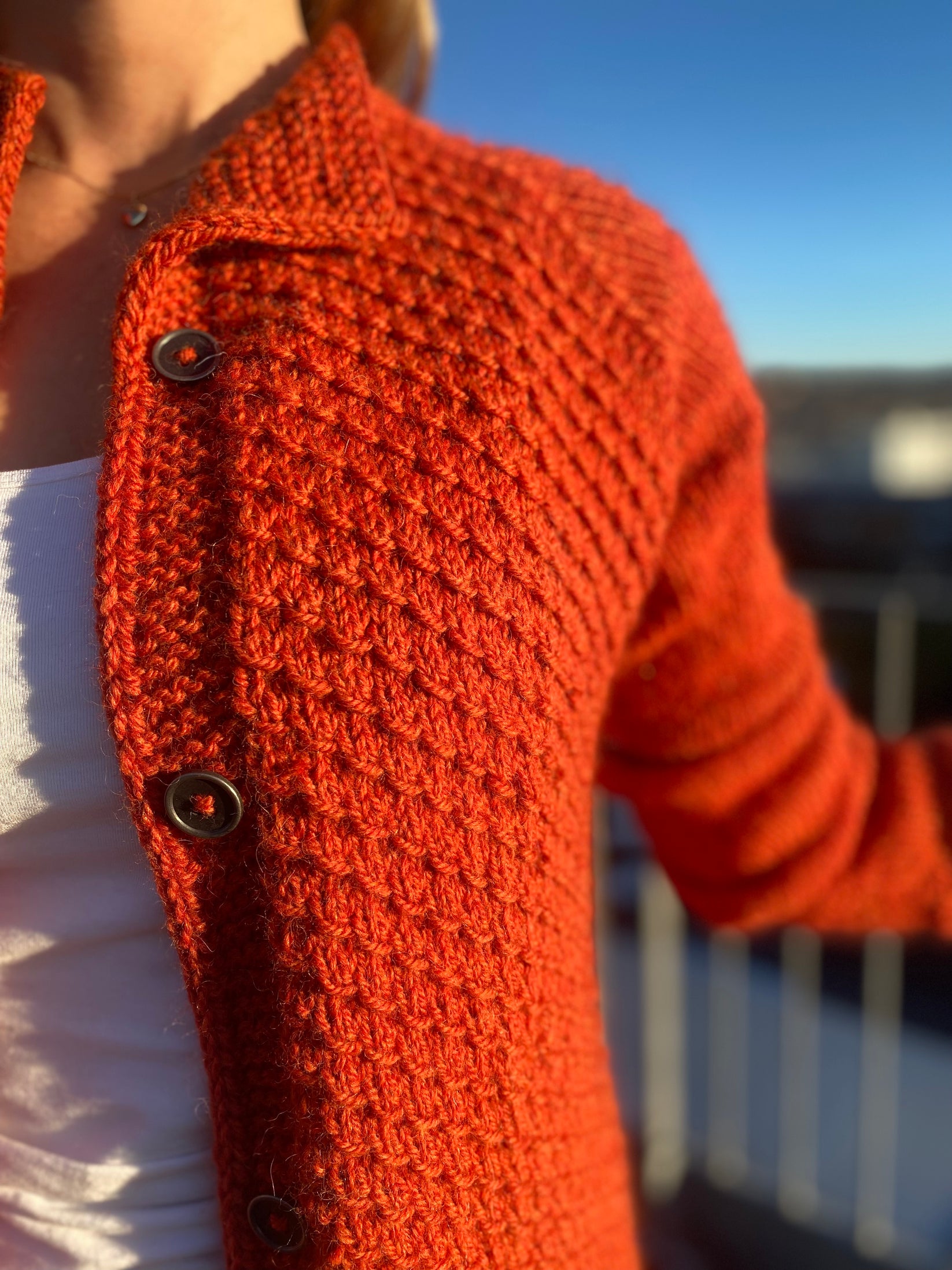 Dragejakke, strikkejakke med drageskjellmønster | Svanhild Design